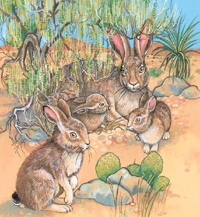 Little Jack Rabbit Story - Animal Stories